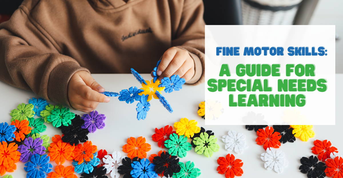 Fine Motor Skills: A Guide for Special Needs Learning | LakiKid